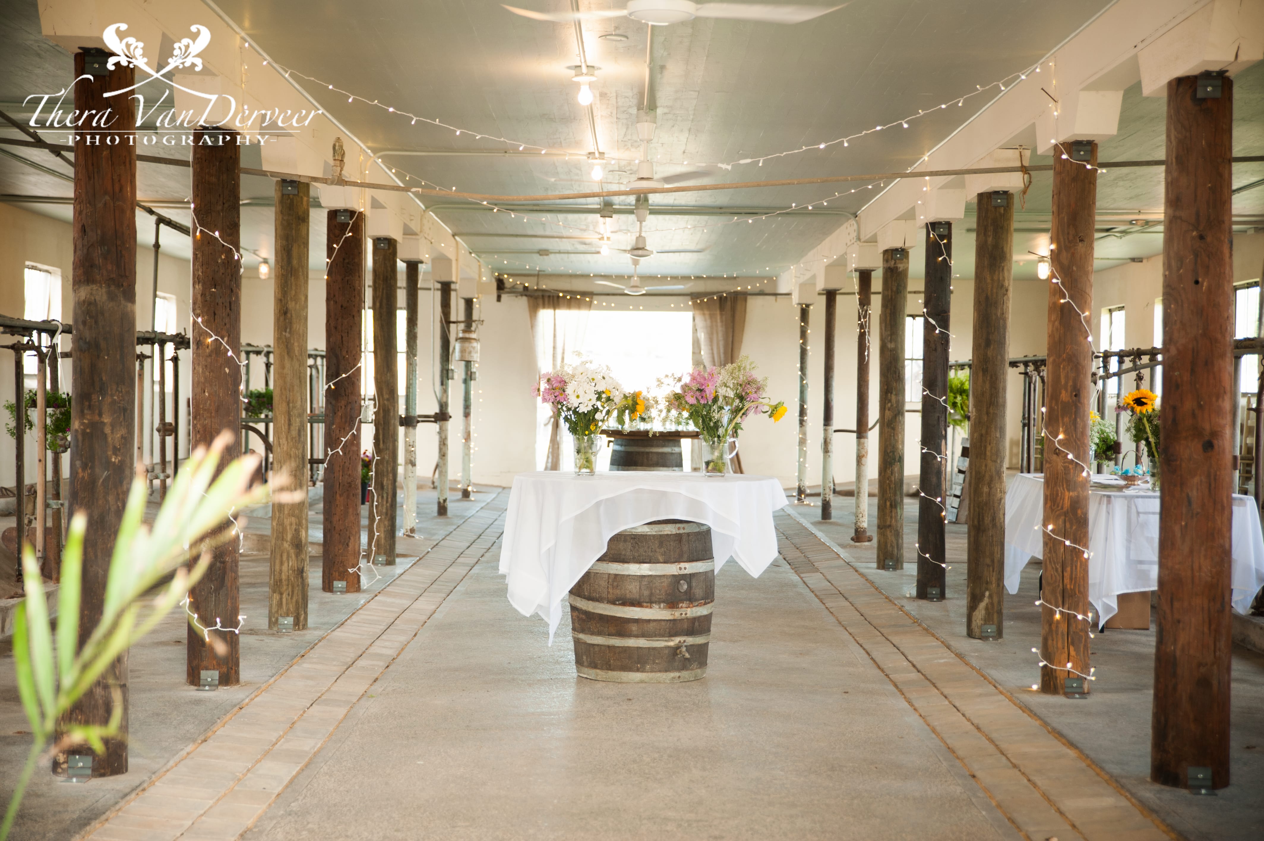 East Lynn Farm by Thera VanDerveer Photography-5-min - East Lynn Farm