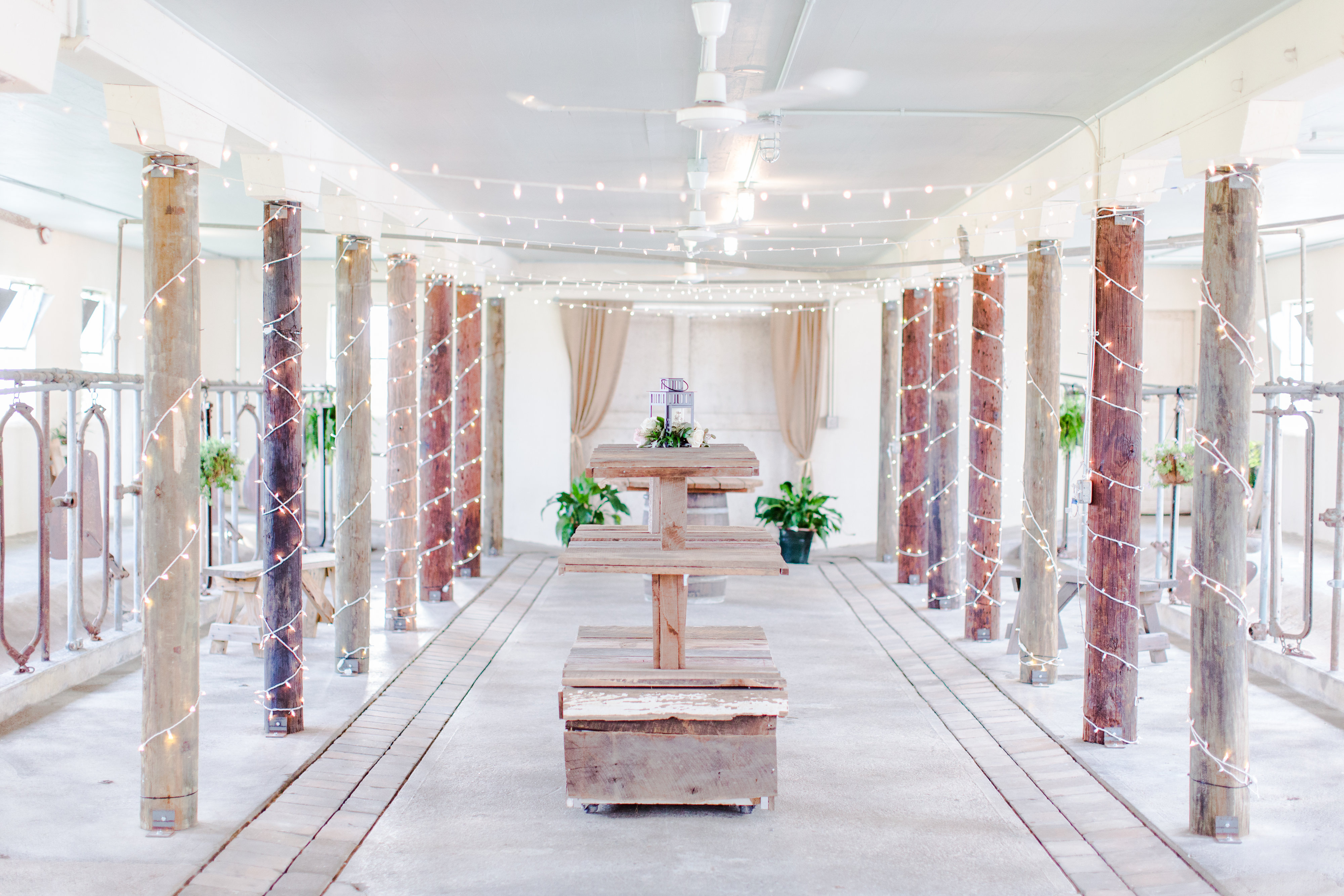 Weddings - East Lynn Farm
